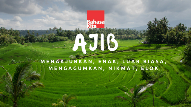 Ajib - Bahasakita.com